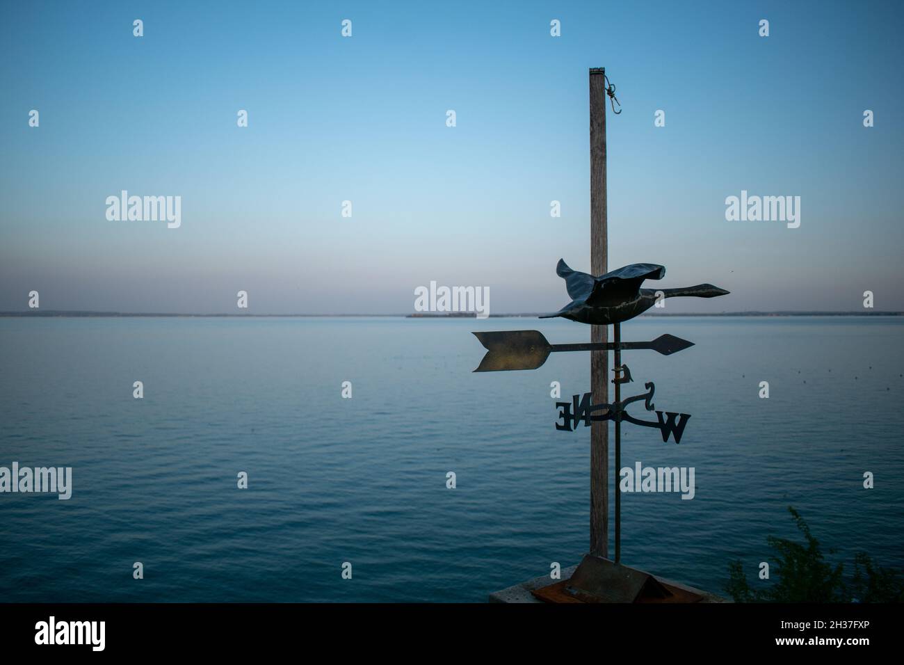 Weather Vein High Resolution Stock Photography and Images - Alamy