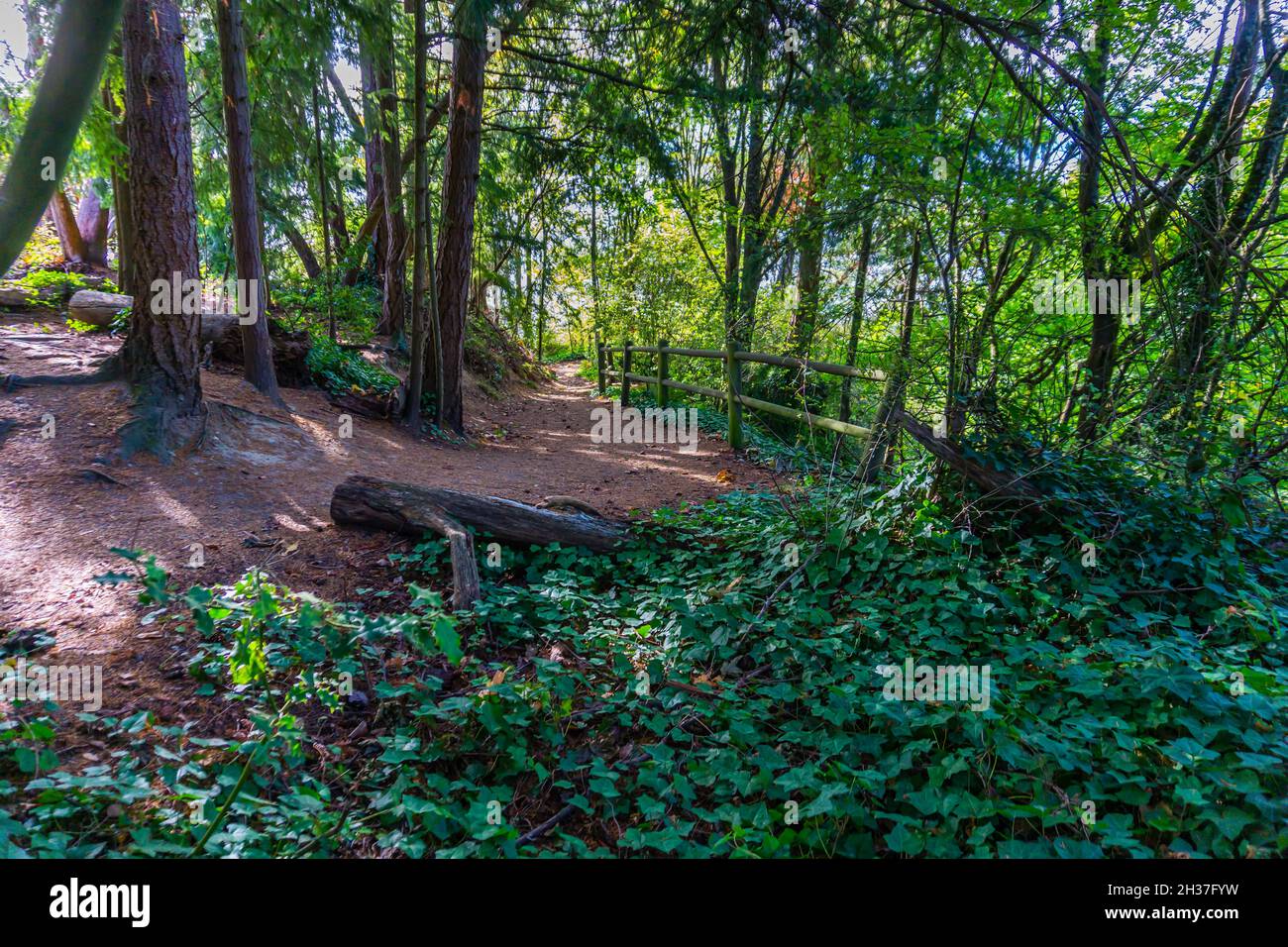 A fence and trails at Viewpoint Park in Normandy Park, Washington Stock ...