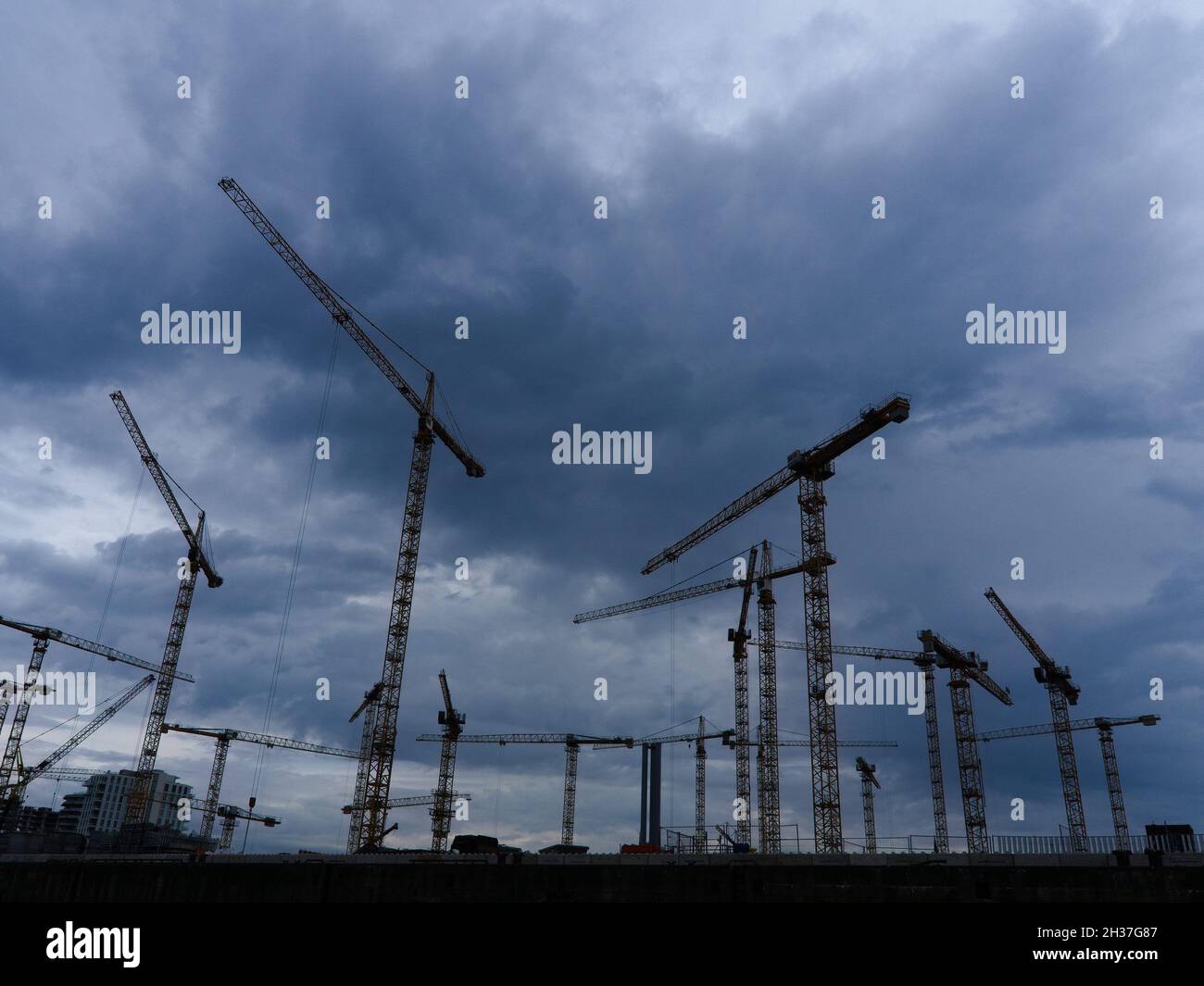 Forest of cranes hi-res stock photography and images - Alamy