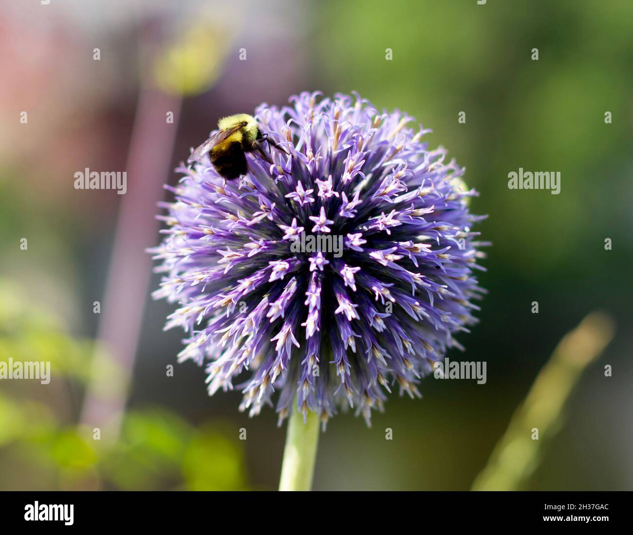 Artsy background hi-res stock photography and images - Alamy