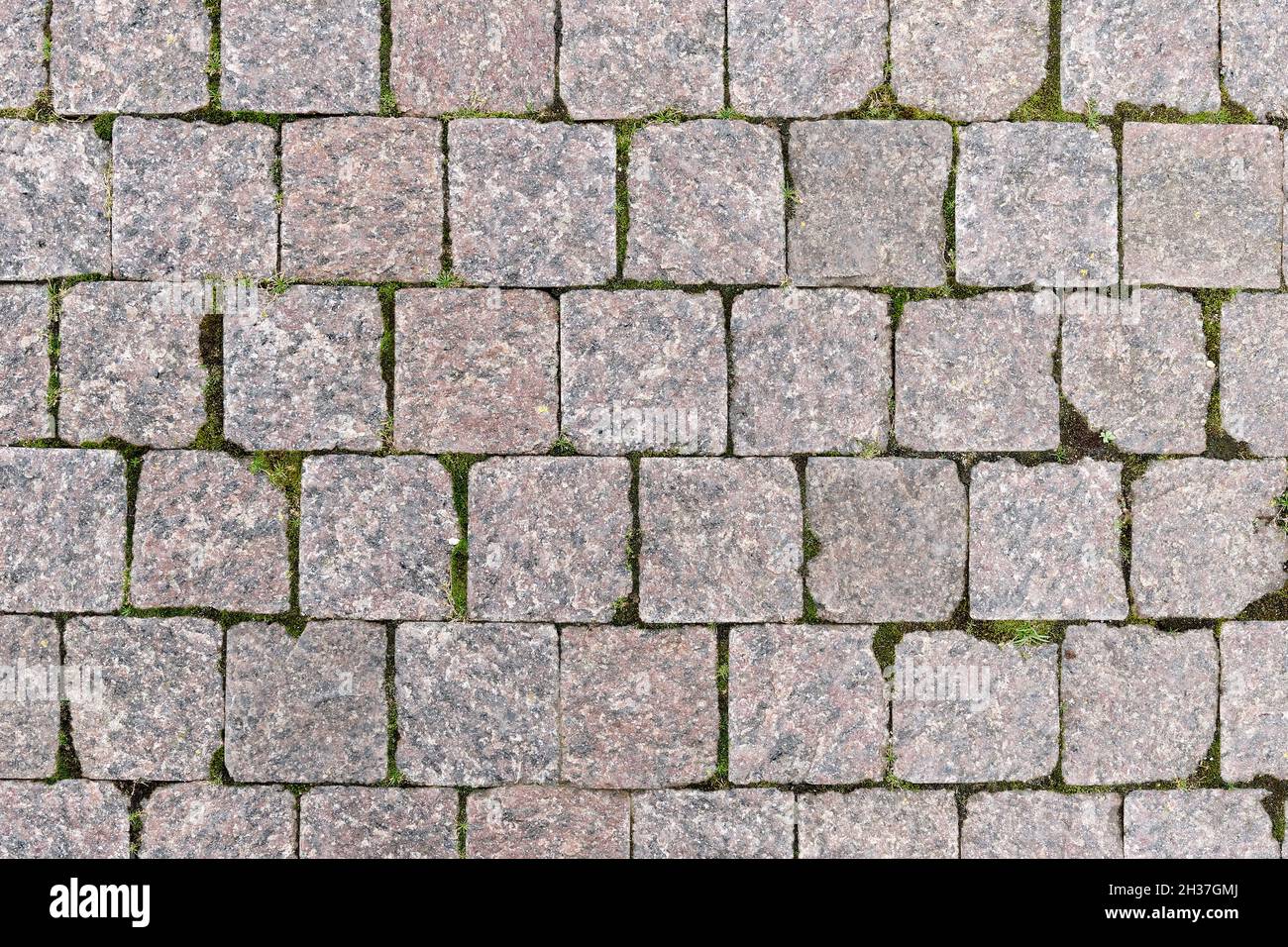 Granite pavement made of square stones, overgrown with moss Stock Photo ...