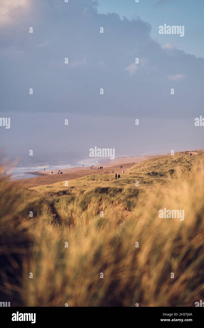 Wide sand beach at the west Coast of Denmark in autumn Stock Photo - Alamy
