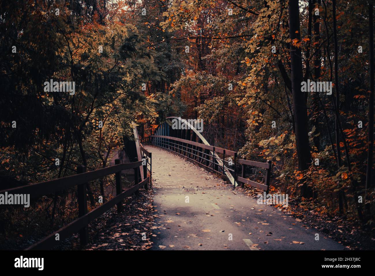 Cleveland metroparks fall foliage hi-res stock photography and images ...