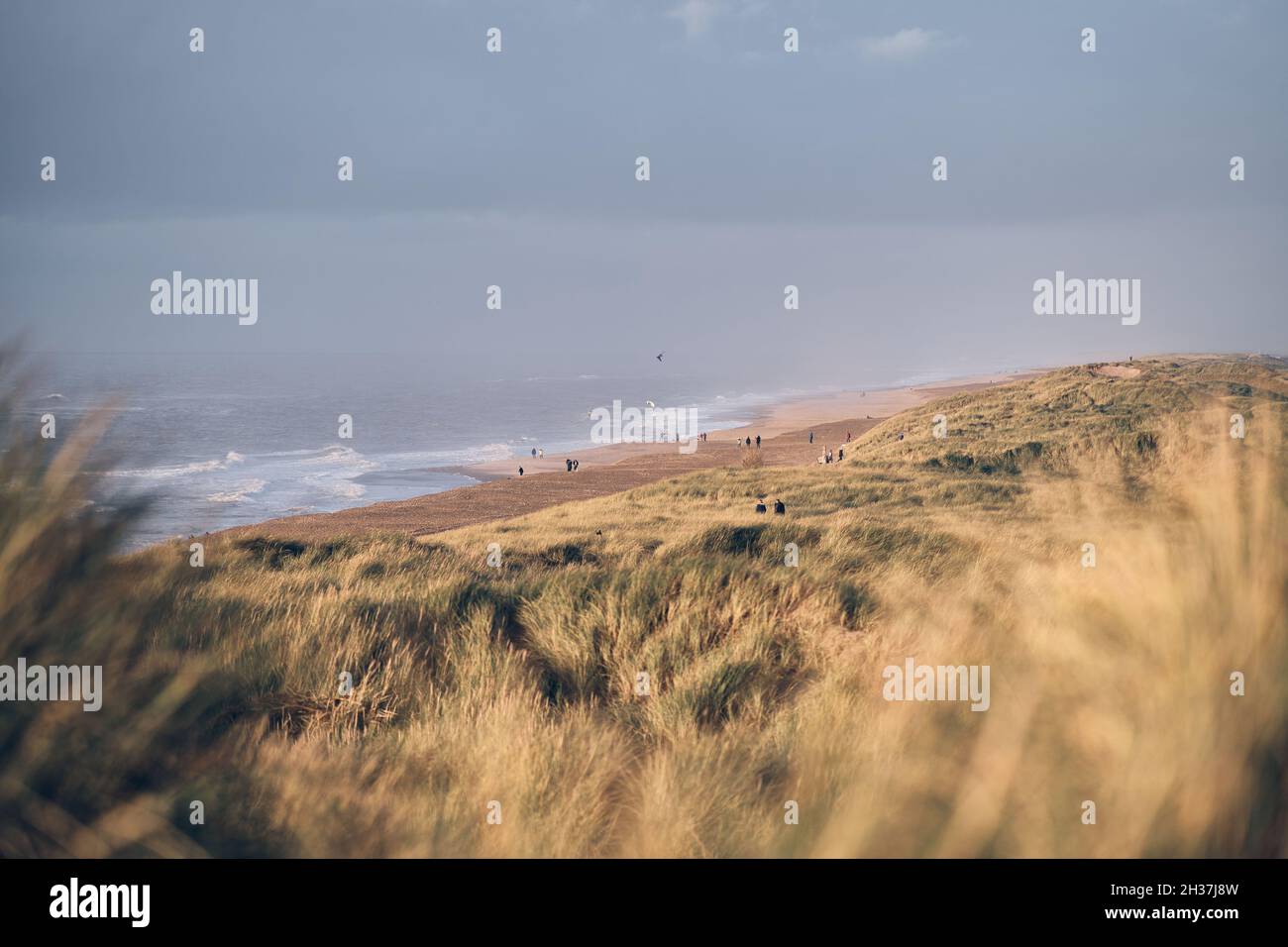 Beach at the west Coast of Denmark in autumn Stock Photo - Alamy