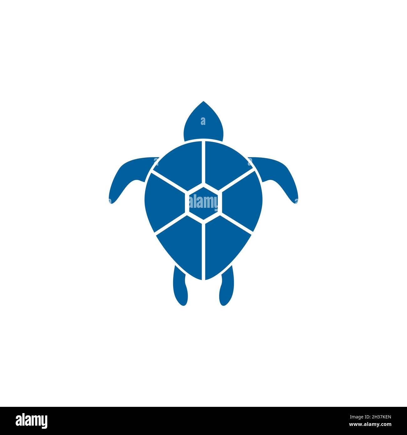 Turtle shell top view hi-res stock photography and images - Alamy