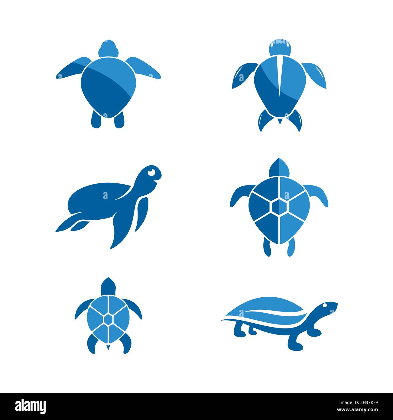Turtle animal cartoon icon vector illustration Stock Photo - Alamy