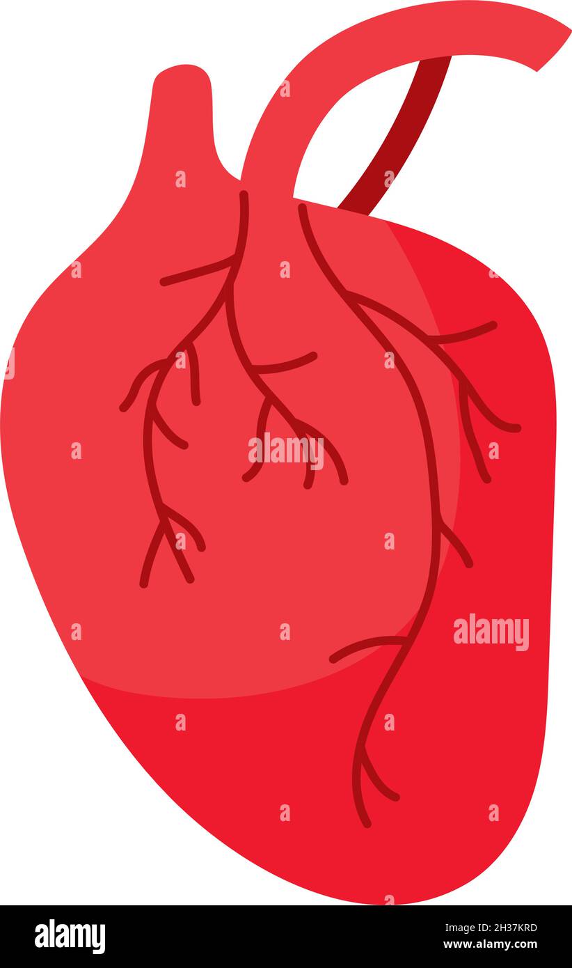 Nice hospital Stock Vector Images - Alamy