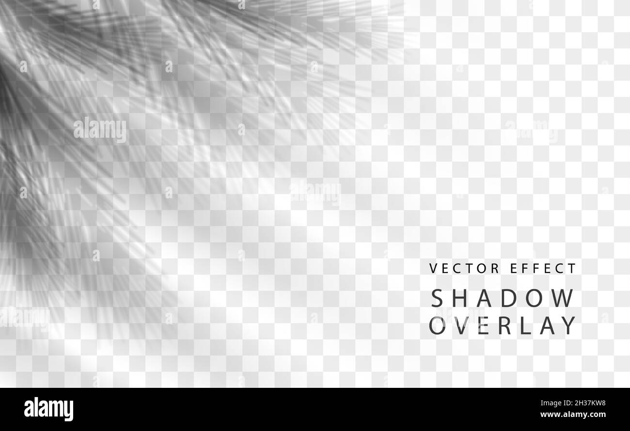 Background shadow from palm Black and White Stock Photos & Images - Alamy