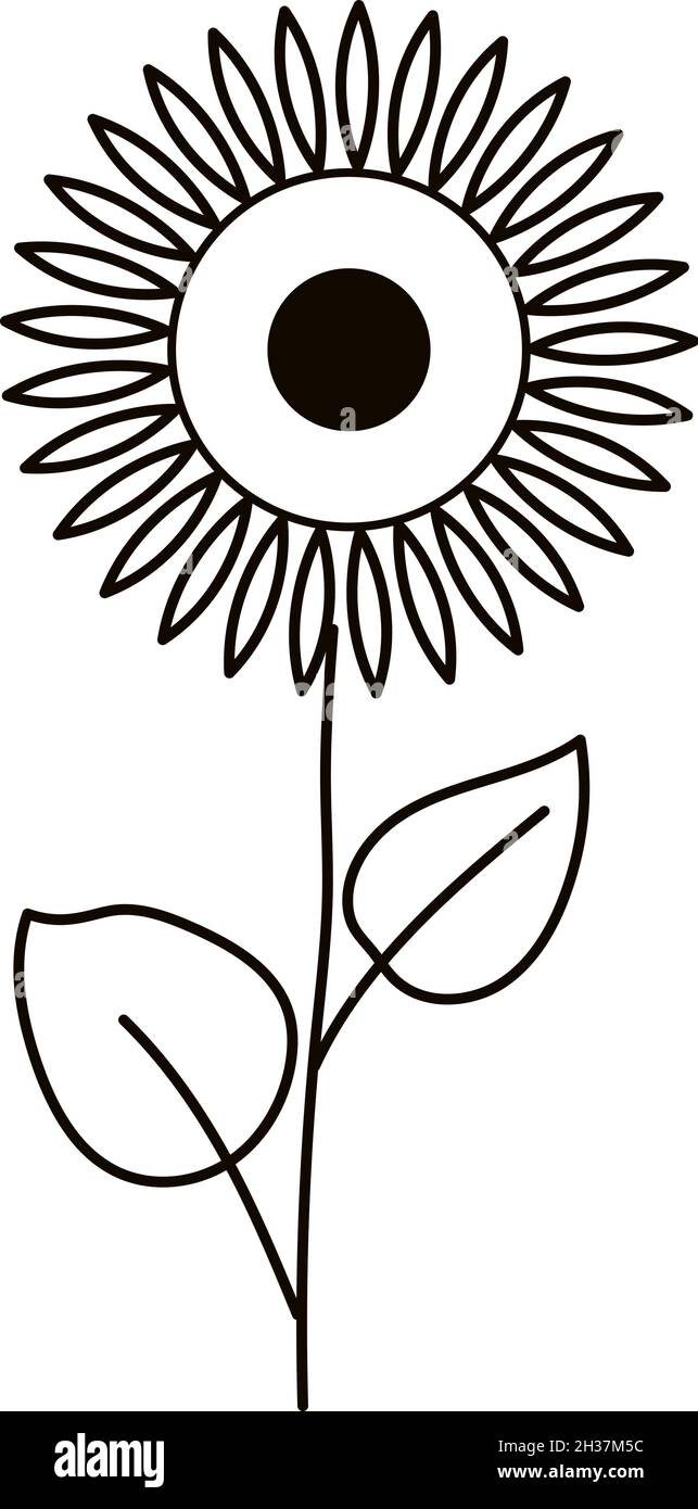 Set of sunflowers in the doodle style. Flowers are suitable for the ...