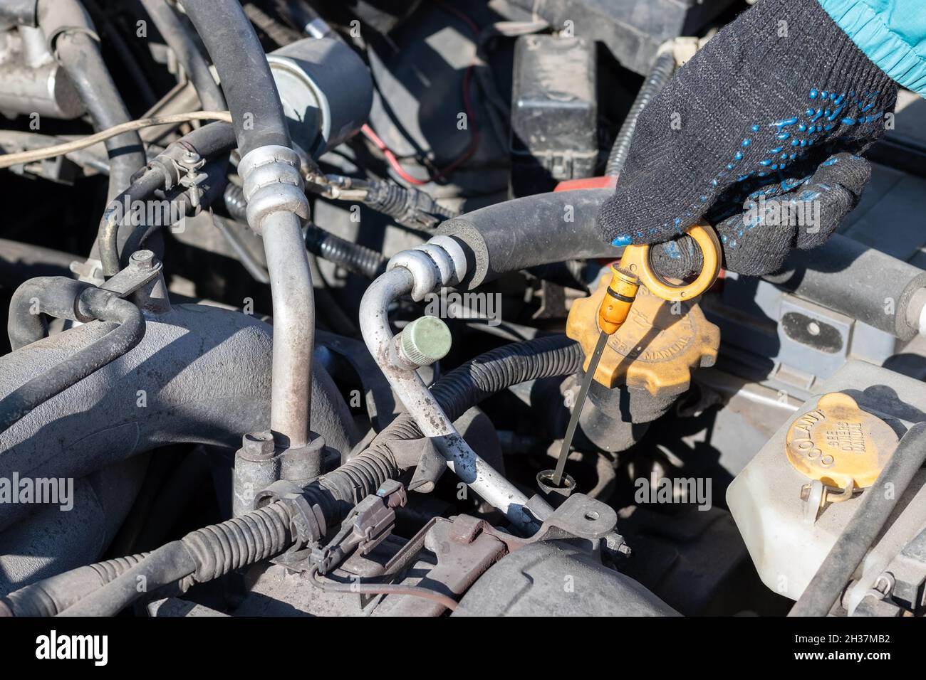 Man checking oil level under the open hood of a flat-four (boxer) car ...