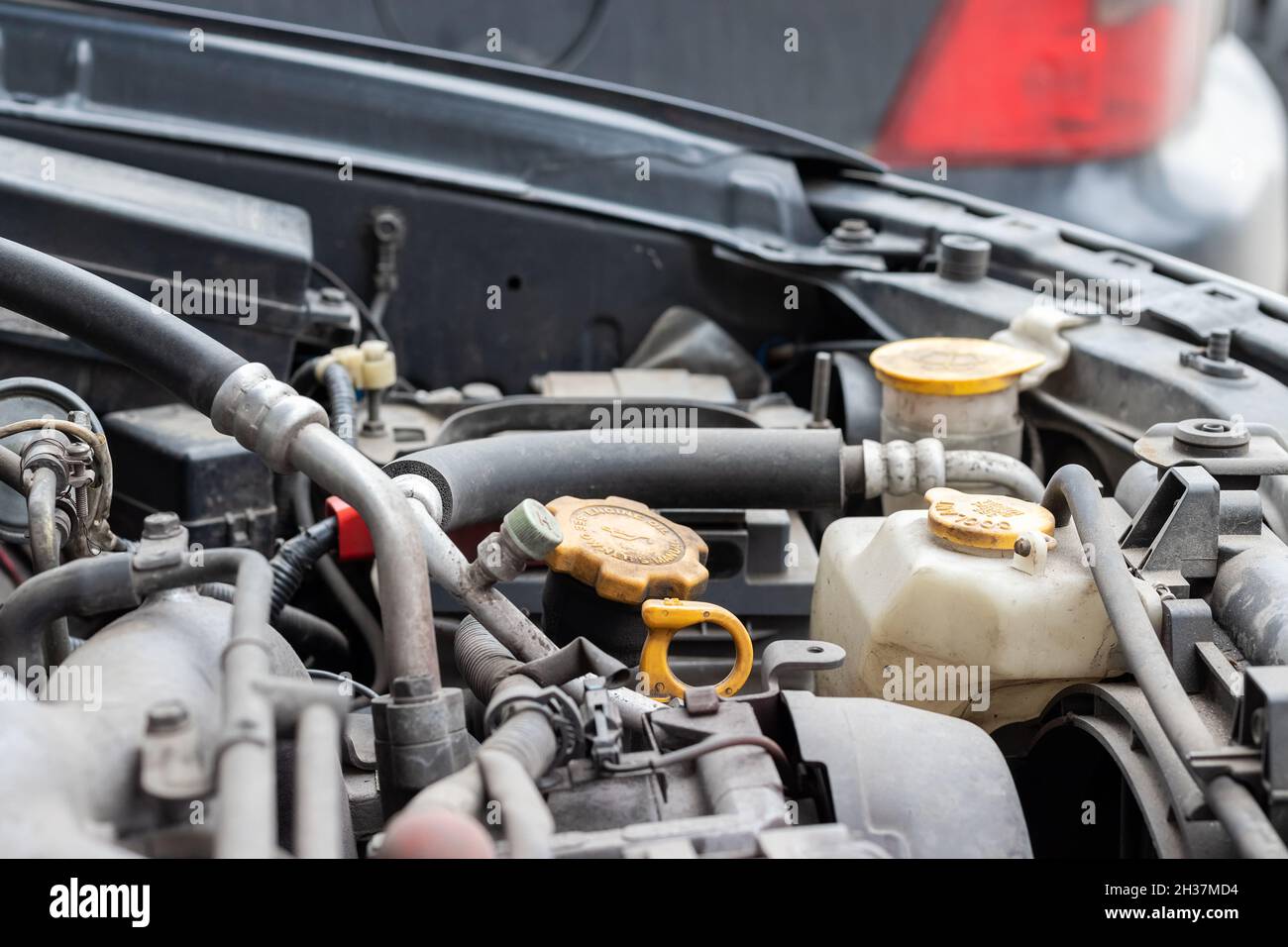 Oil probe, oil cap and antifreeze tank. Dusty details of a flat-four ...