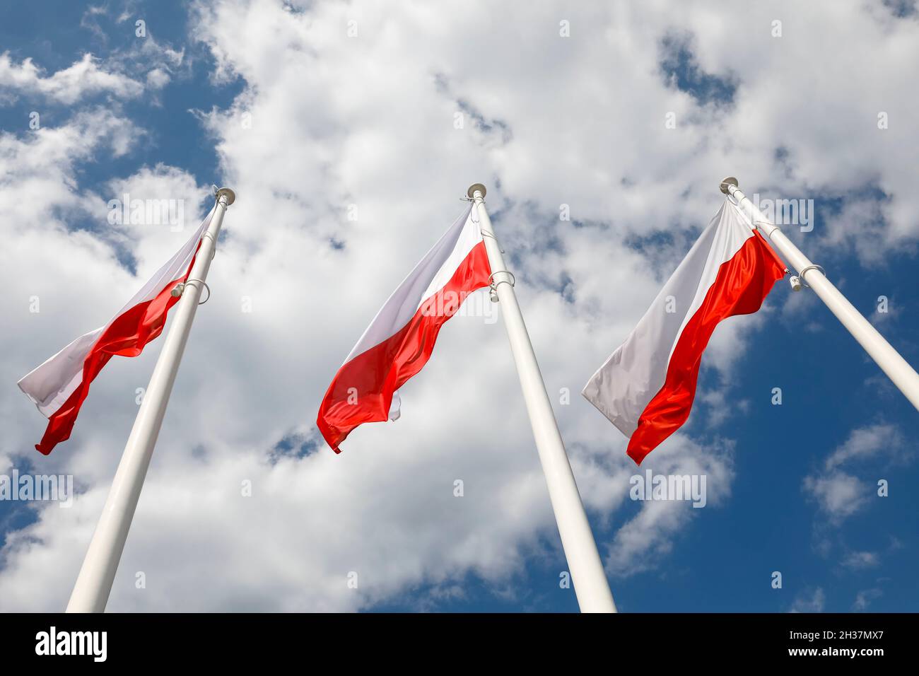 Polish national flags fluttering hi-res stock photography and images ...