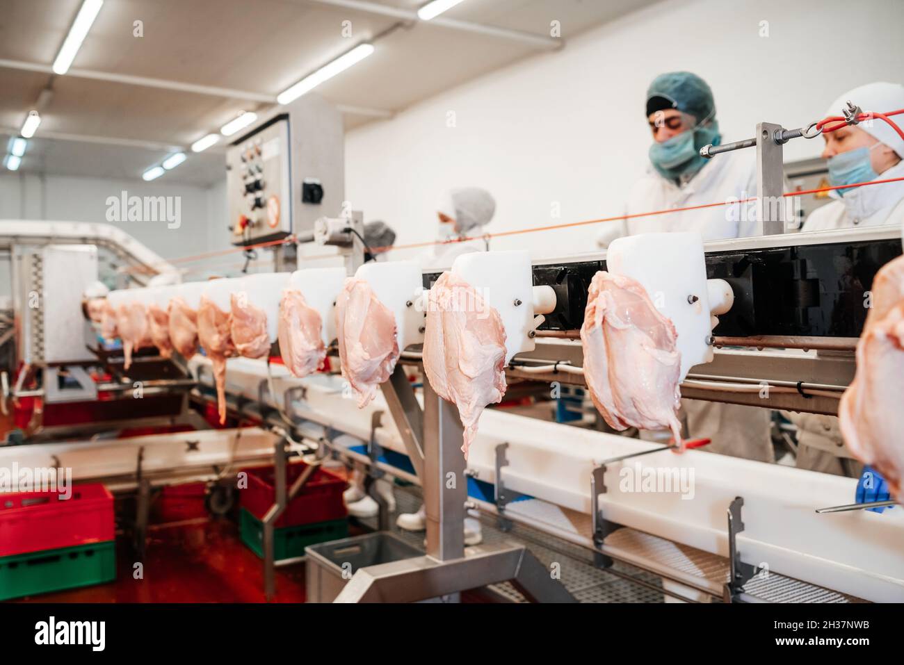 Beef Slaughterhouse Line