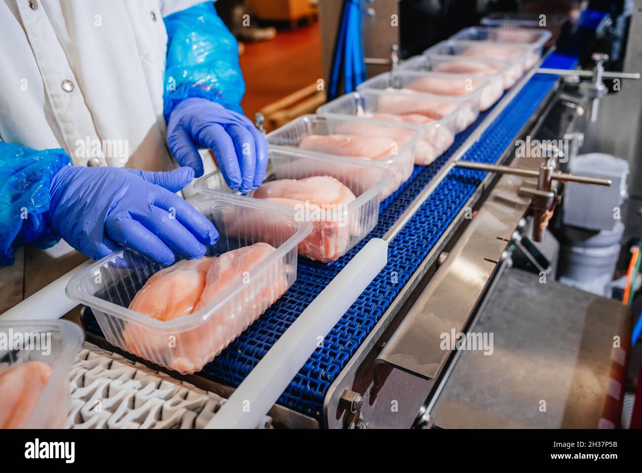 Line for the production of meat with packaging and cutting . Industrial ...