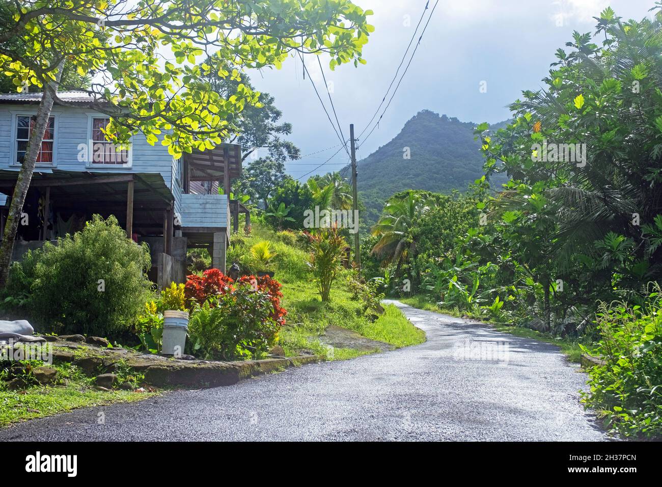 Rural scene in tropical rain forest near the Concord Falls, St George ...