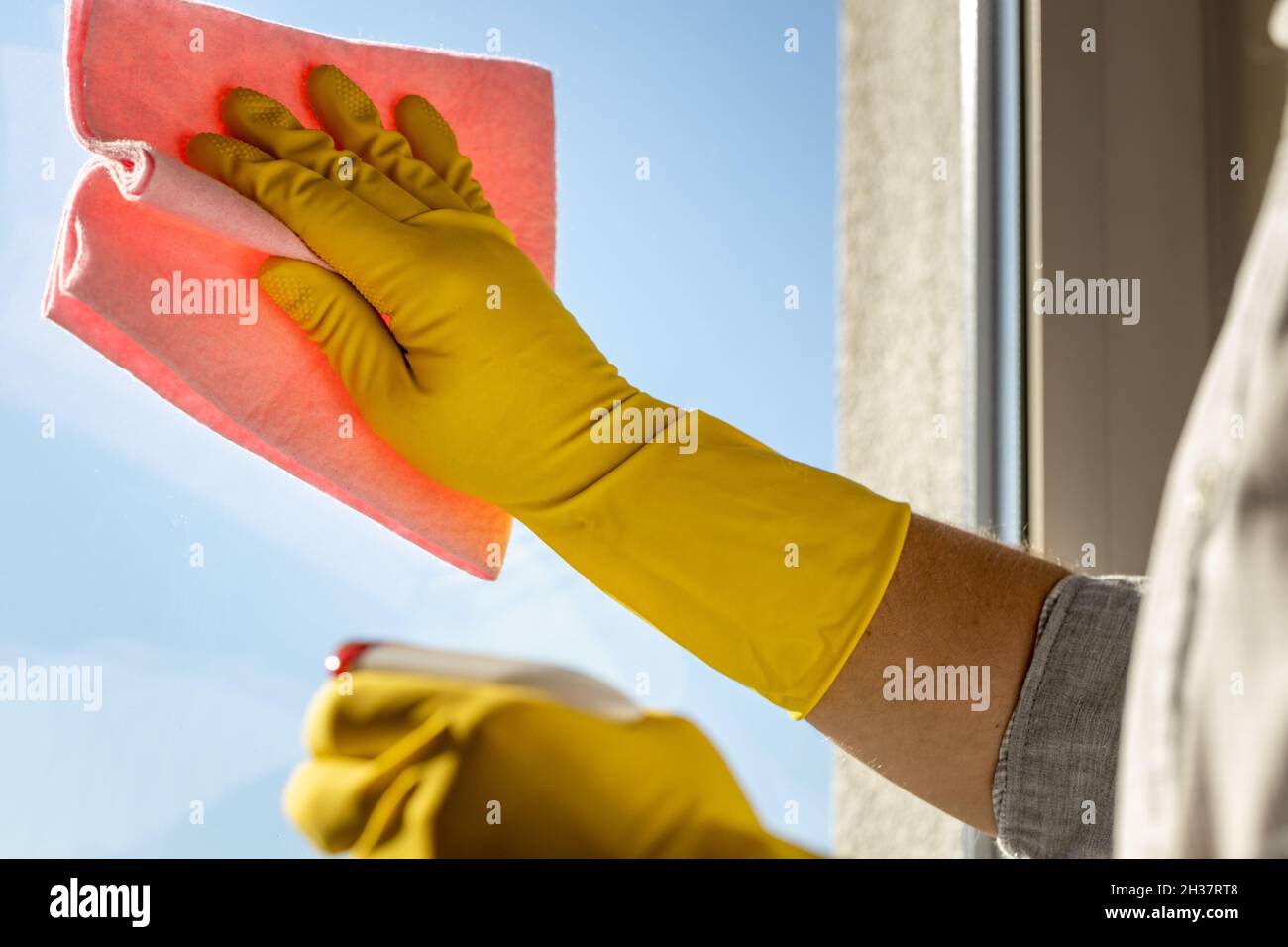 man washing windows at home, office shirt with rolled up sleeves, pink ...
