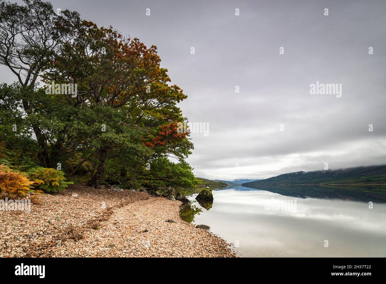 An autumnal 3 shot HDR image of a still Loch Arkaig with grey skies ...