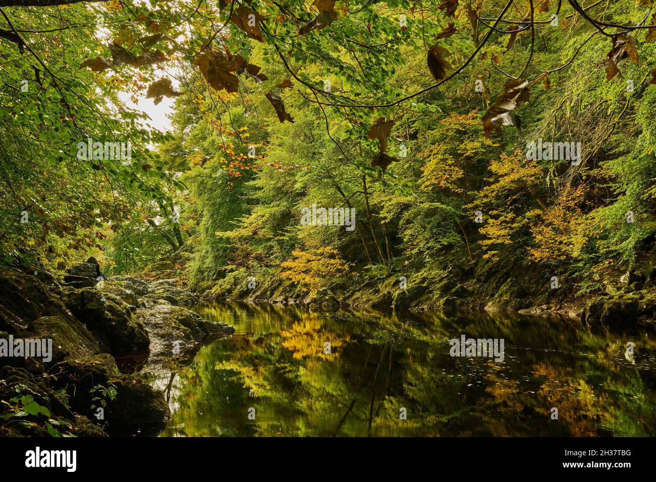 Reflections in the River Garry, Scotland Stock Photo - Alamy