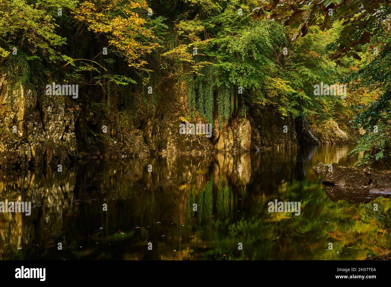 Reflections in the River Garry, Scotland Stock Photo - Alamy