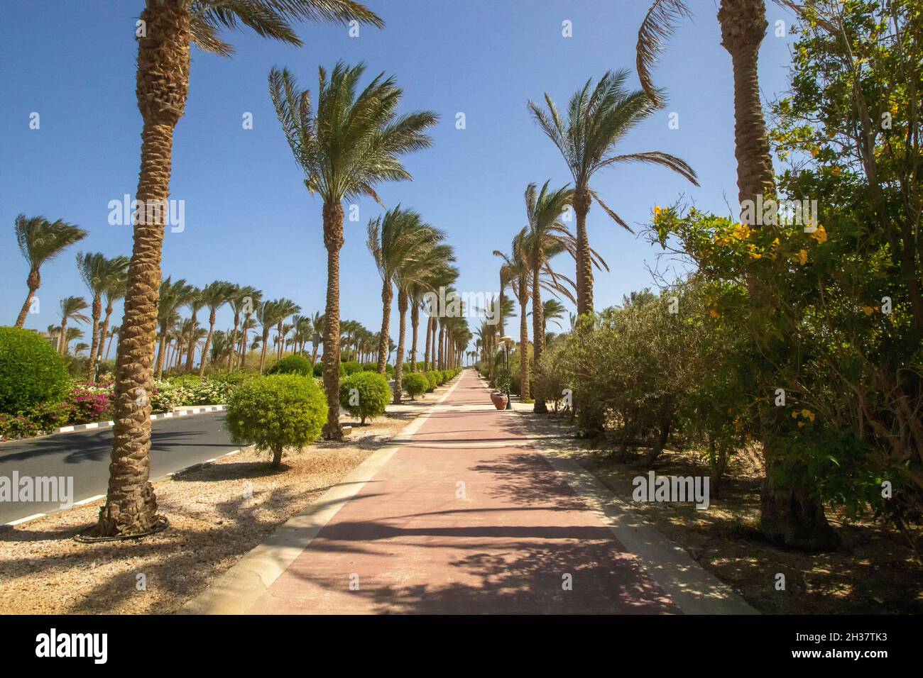 The Red Sea holiday resort of Port Ghalib in Egypt Stock Photo - Alamy