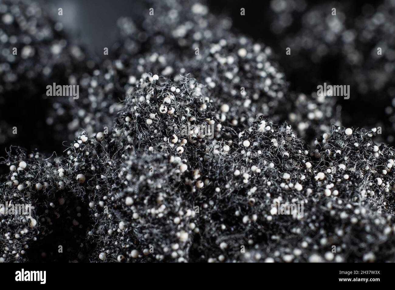Activated carbon mixed with white beads to fill the filter Stock Photo ...