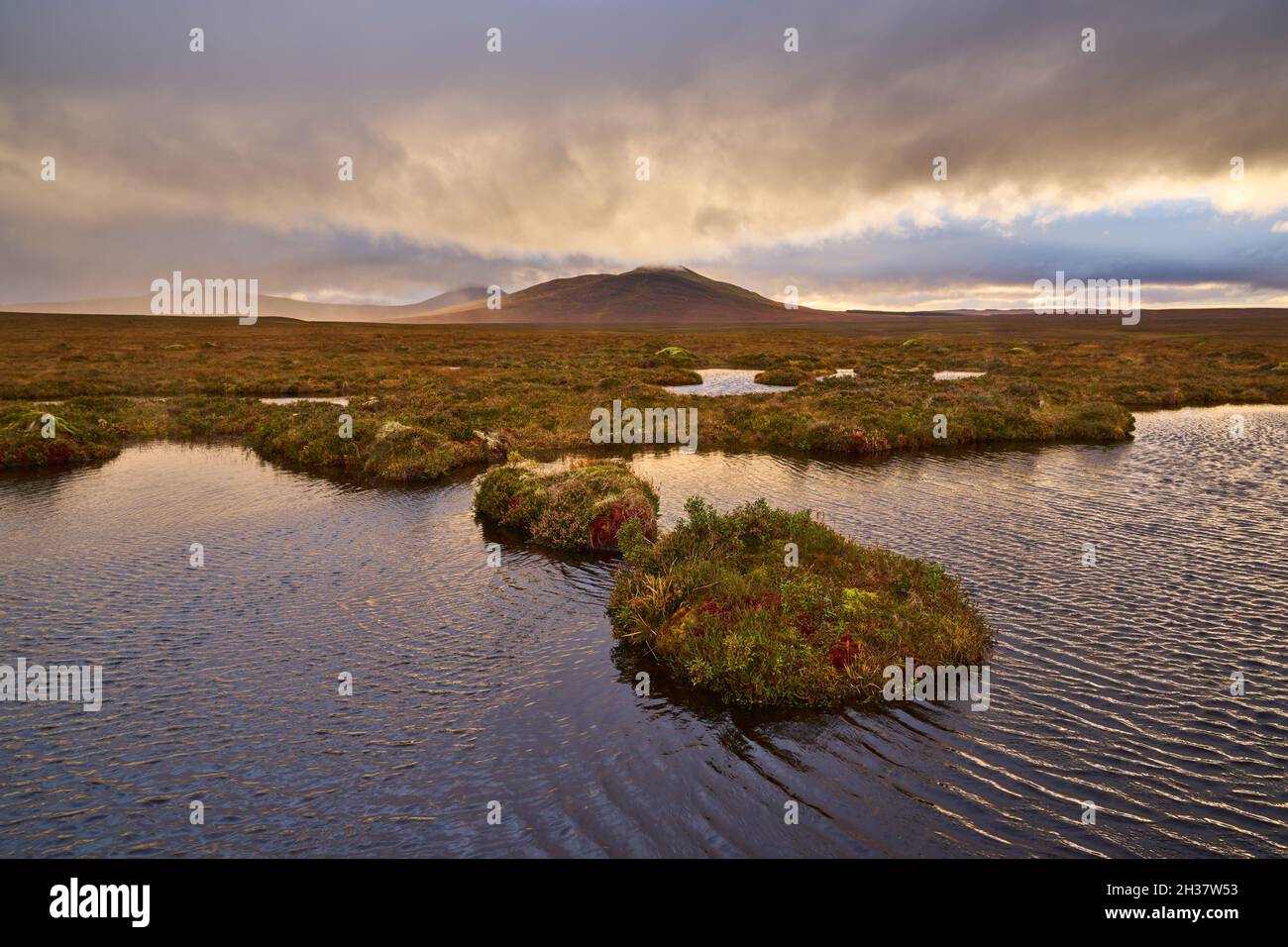 Forsinard flows tower hi-res stock photography and images - Alamy