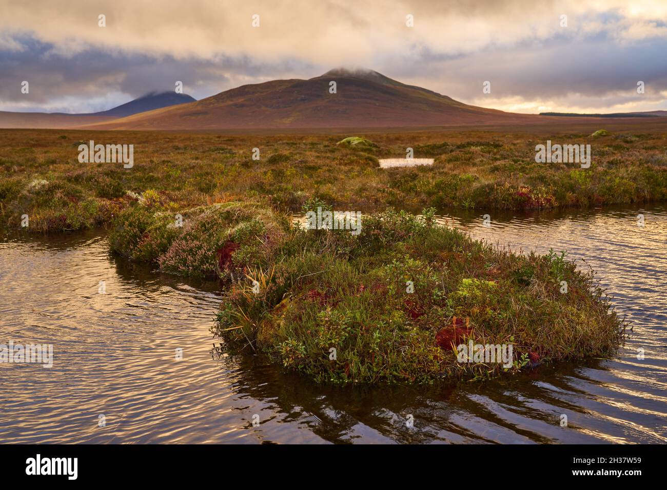 Flow country forsinard hi-res stock photography and images - Alamy