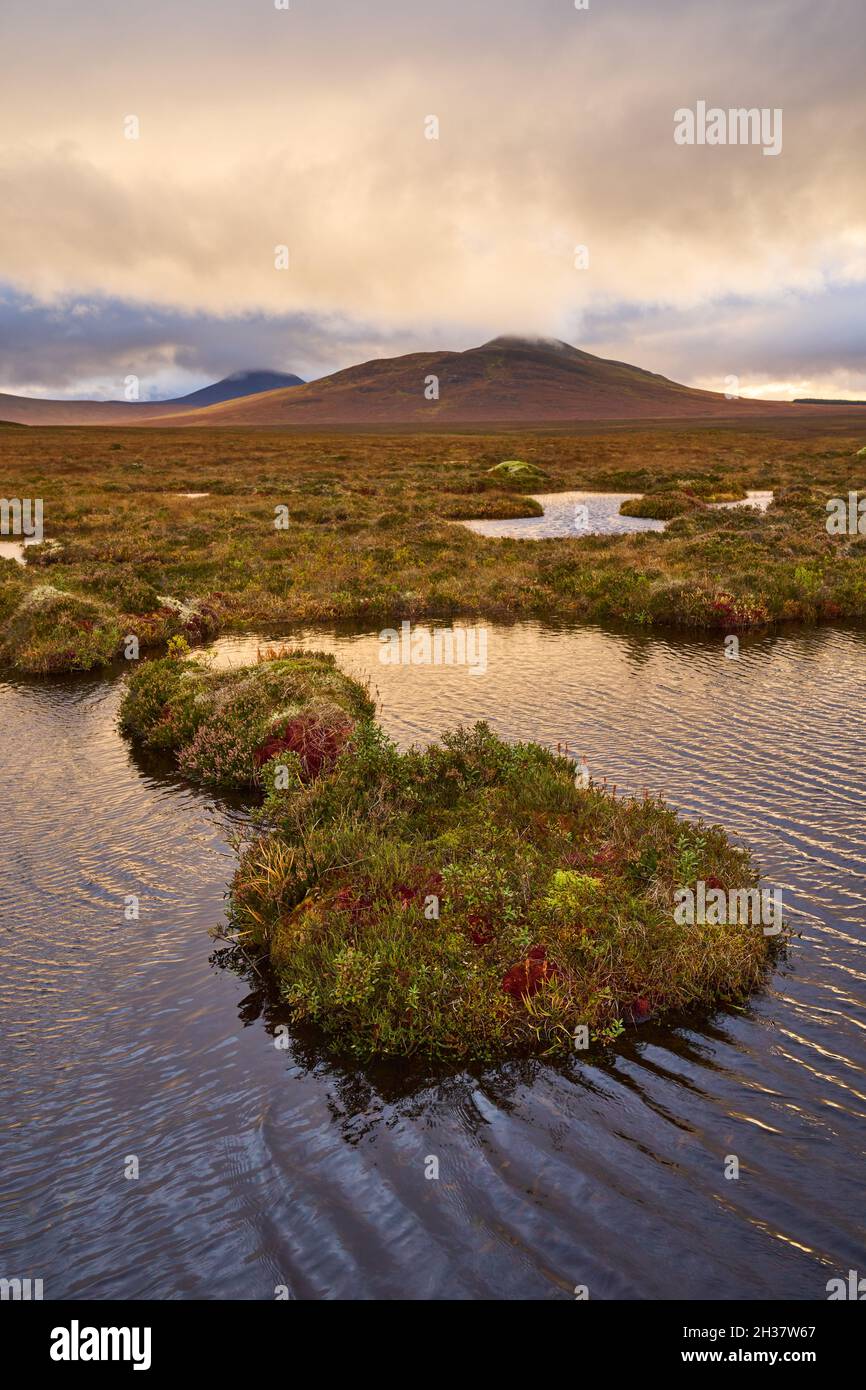 Flow country forsinard hi-res stock photography and images - Alamy