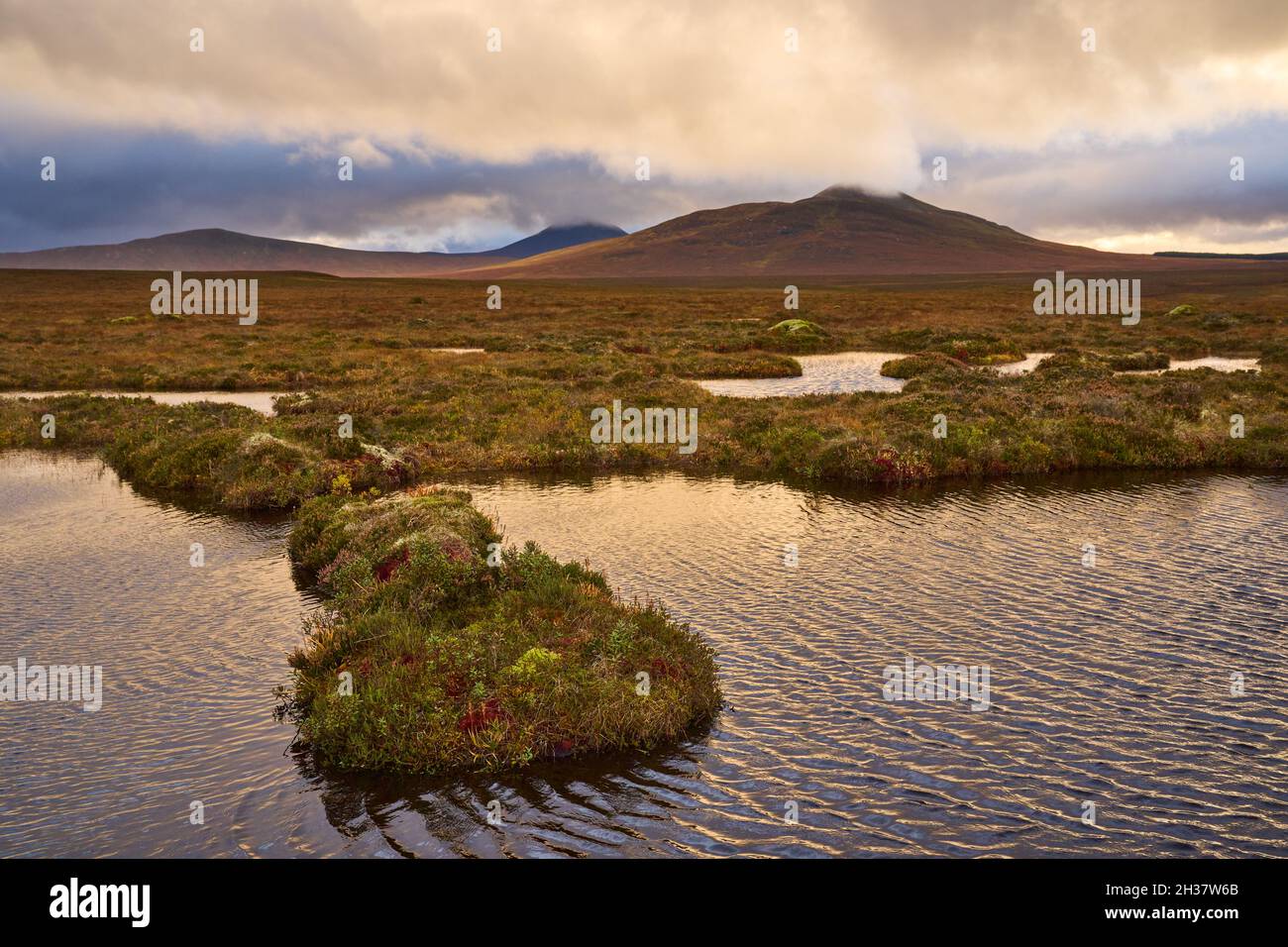 Flow country forsinard hi-res stock photography and images - Alamy