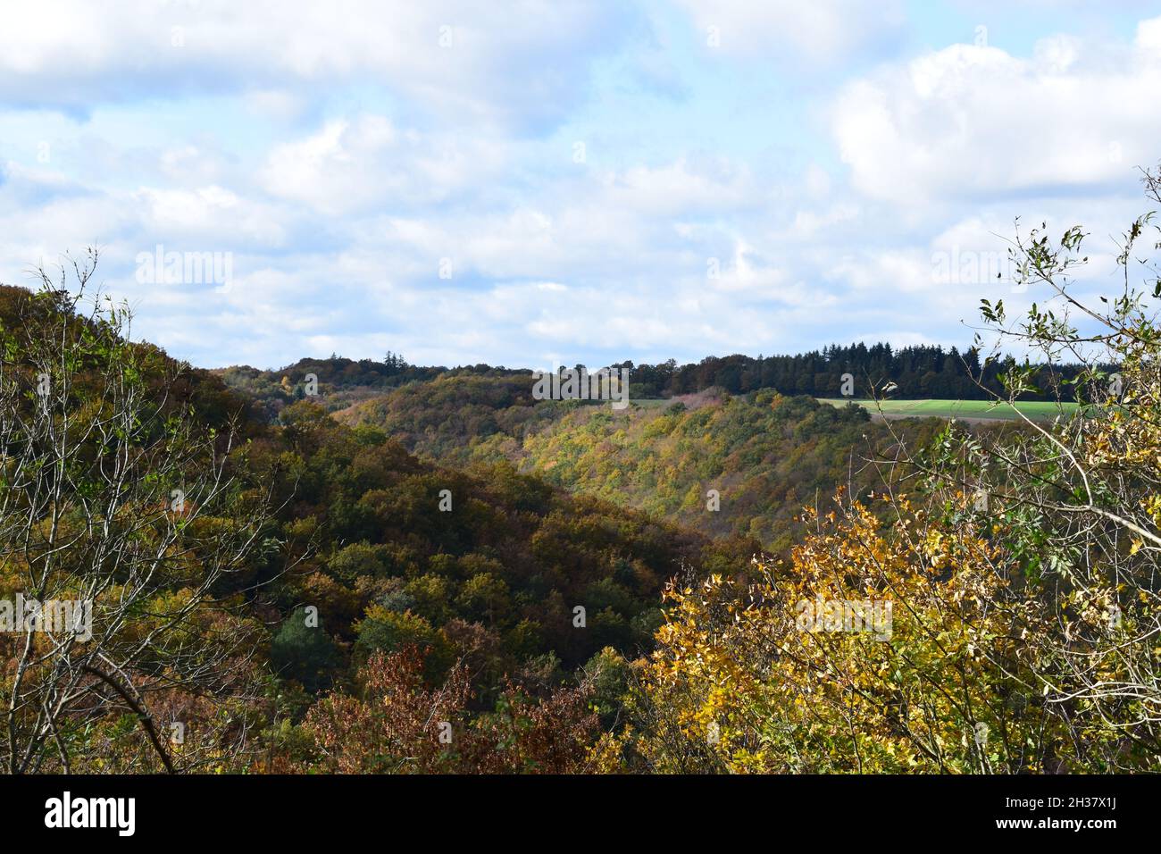 autumn colors in Elztal, Eifel Stock Photo - Alamy