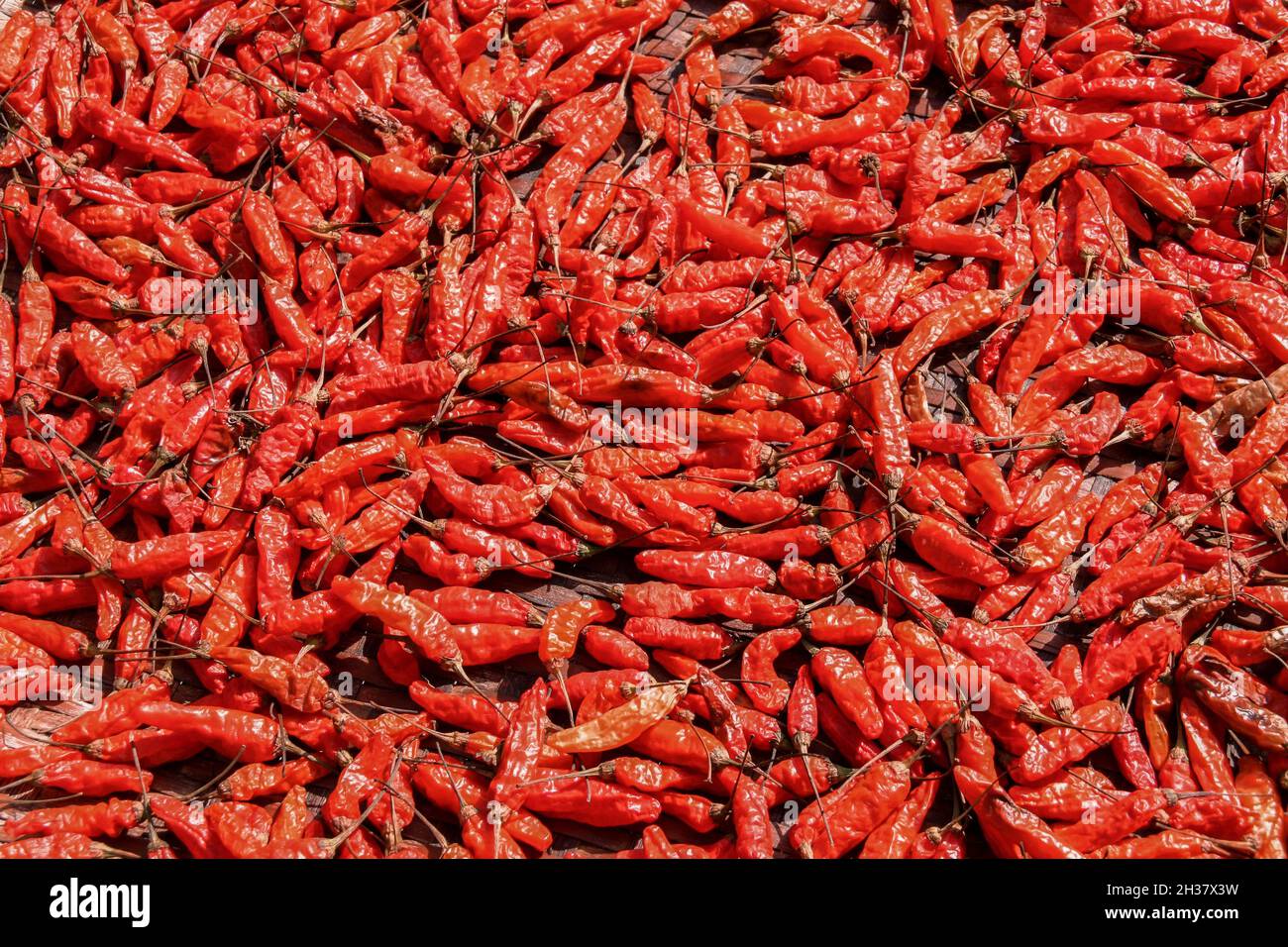 Dry hot chilies background from top view Stock Photo - Alamy