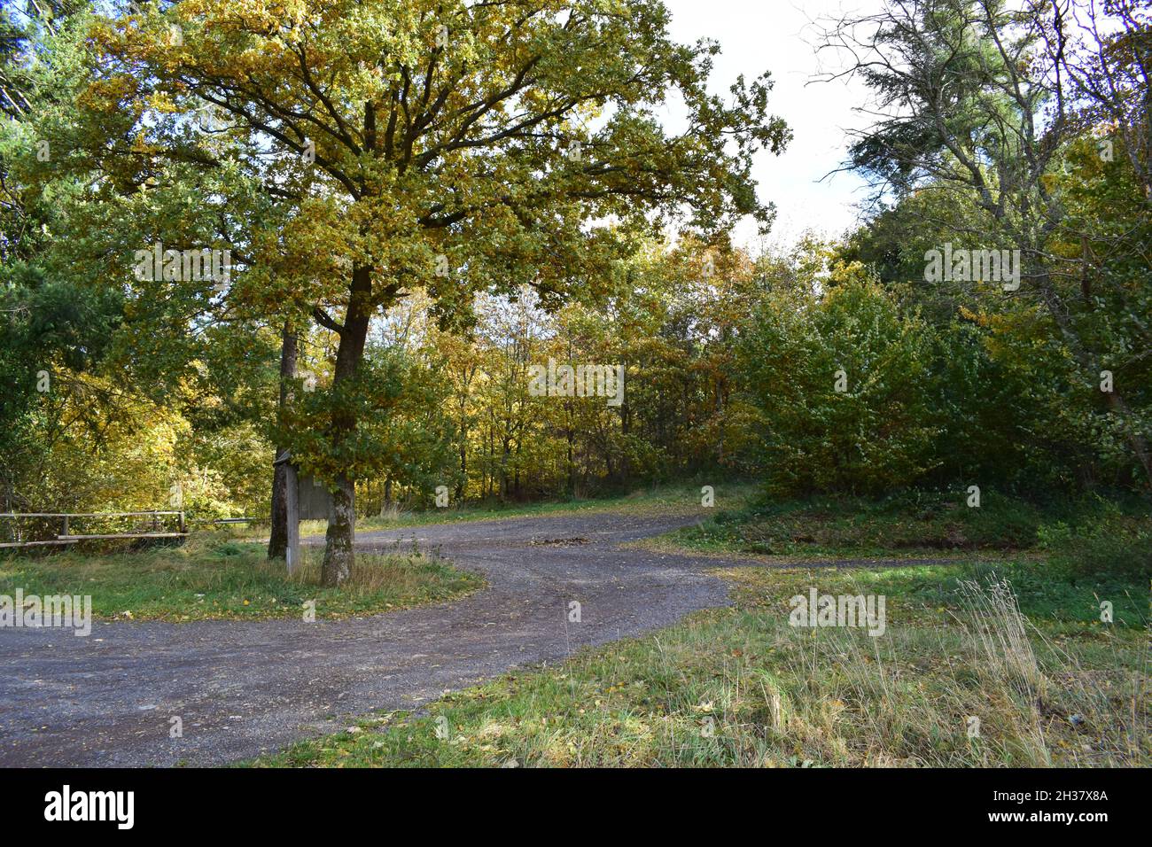 rural parking lot in autumn Stock Photo - Alamy