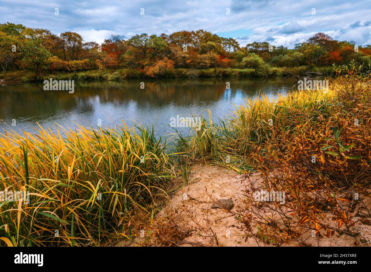 River in early autumn, colored leaves, beautiful landscape Stock Photo ...