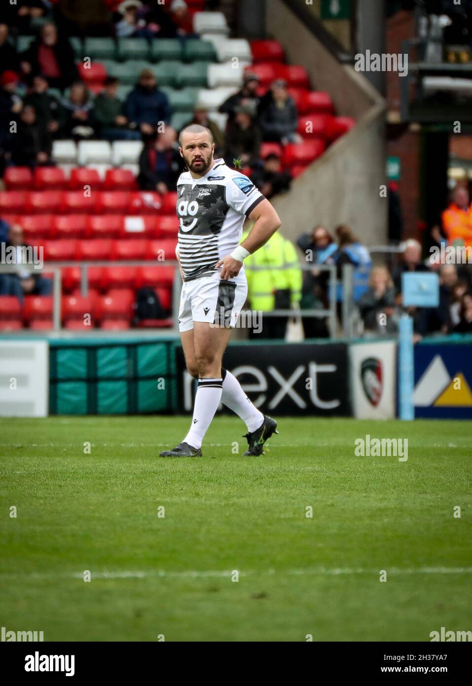 Bevan rodd england hi-res stock photography and images - Alamy