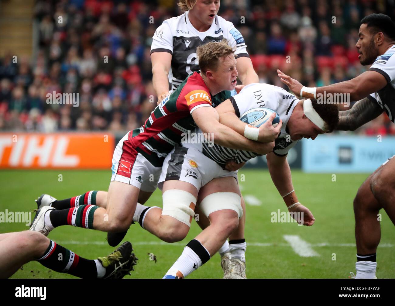 Harry Woods High Resolution Stock Photography and Images - Alamy