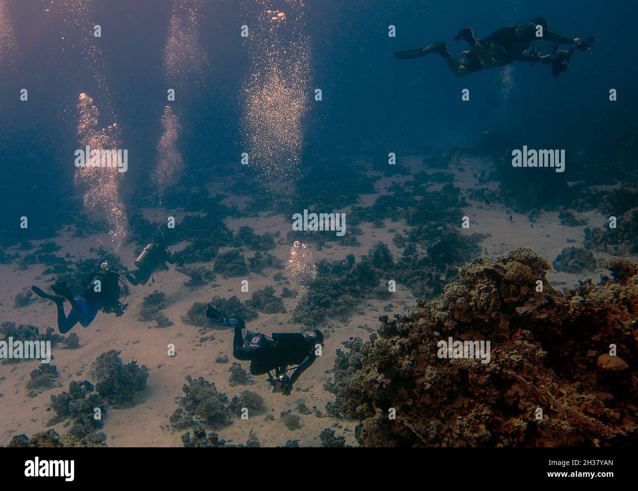 Divers exploring the underwater world of the Red Sea in Egypt Stock ...