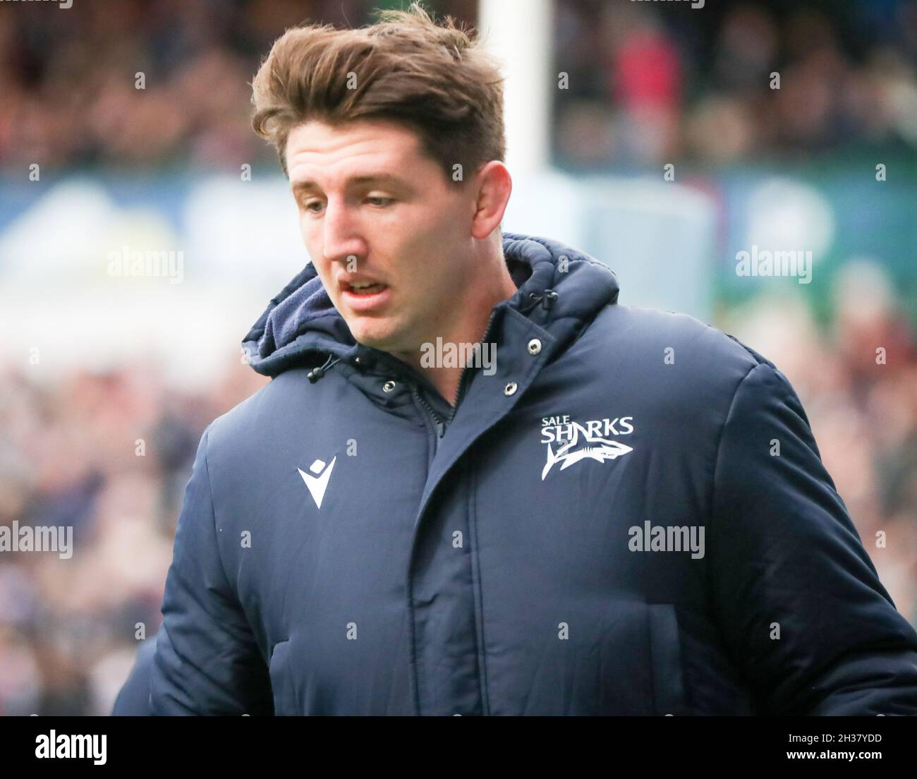 Sale sharks ben curry hi-res stock photography and images - Alamy