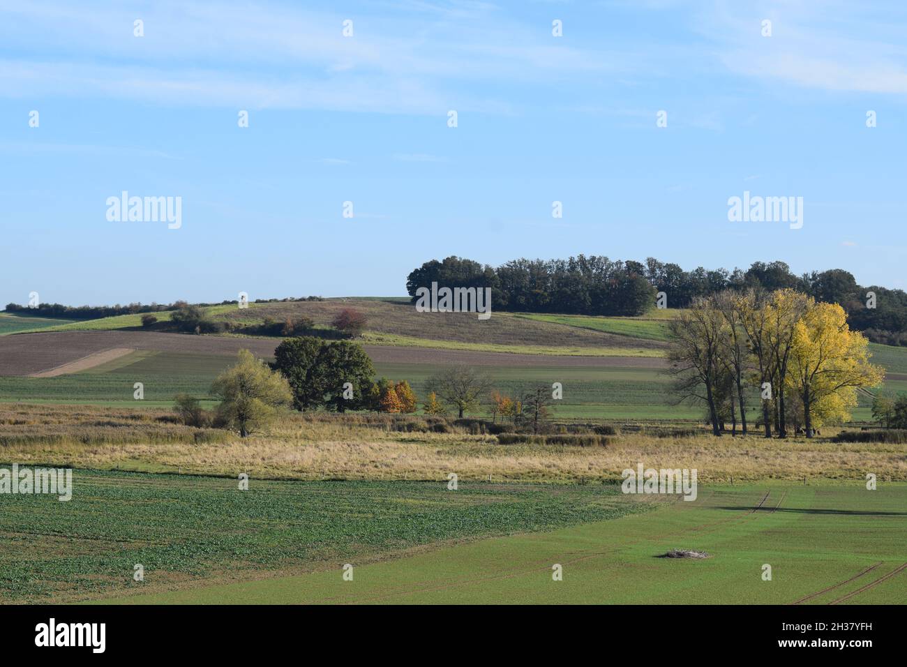 Thurer wiesen hi-res stock photography and images - Alamy