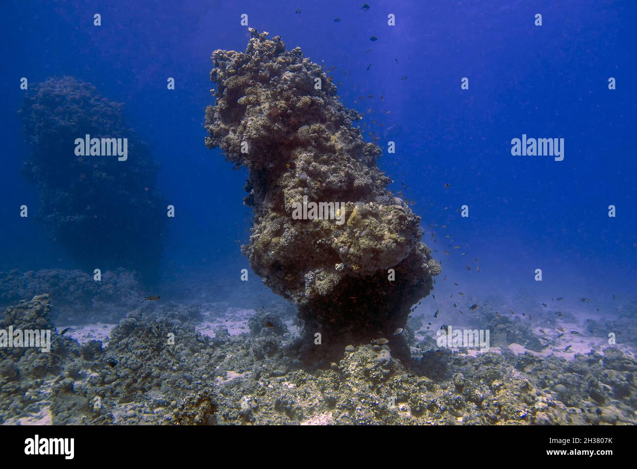 Wide angle views of the magnificent coral formations in the Red Sea ...