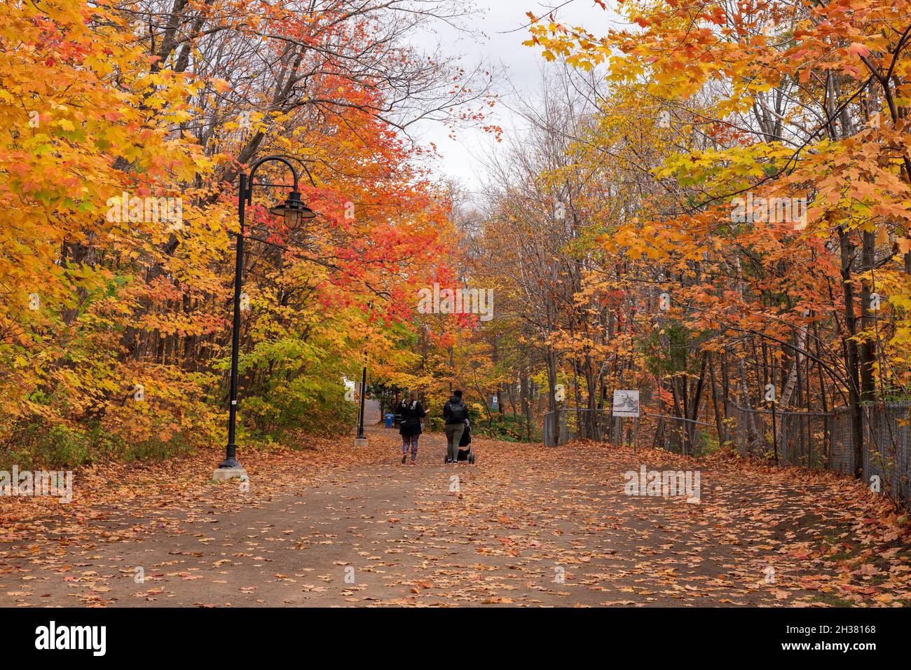 Montmorency Falls walking trail in the fall season. Quebec, Canada ...
