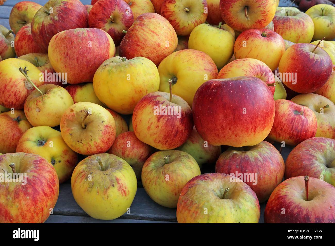 Topaz apples hi-res stock photography and images - Alamy