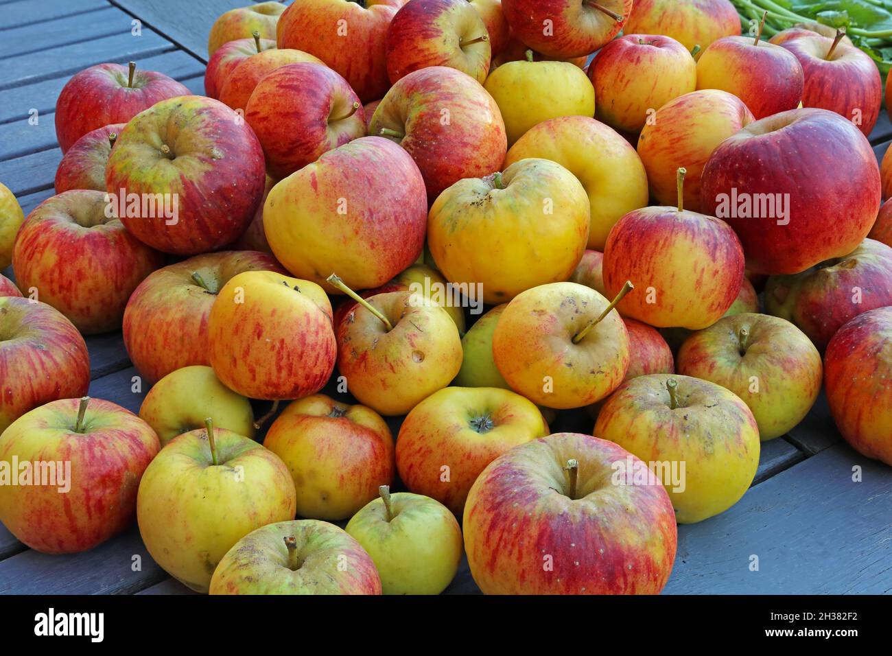Topaz Apples High Resolution Stock Photography and Images - Alamy