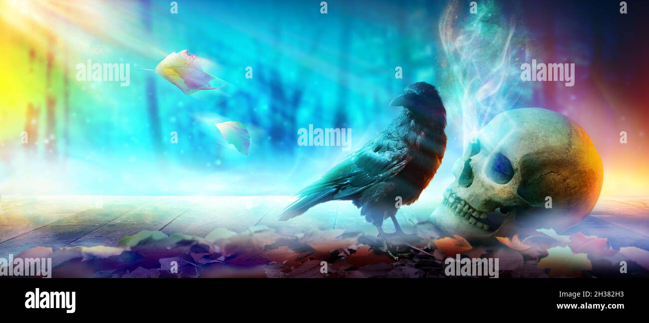 Halloween background with raven in a spooky night Stock Photo - Alamy