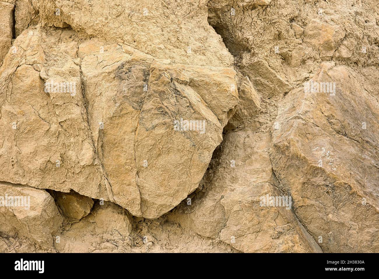 Closeup view and texture hi-res stock photography and images - Alamy