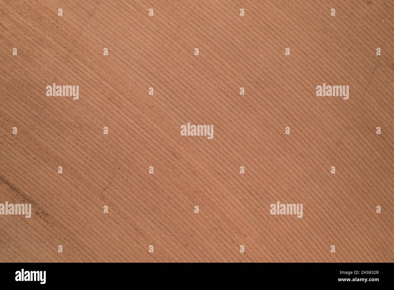 newly planted cane field seen from above - drone view Stock Photo - Alamy