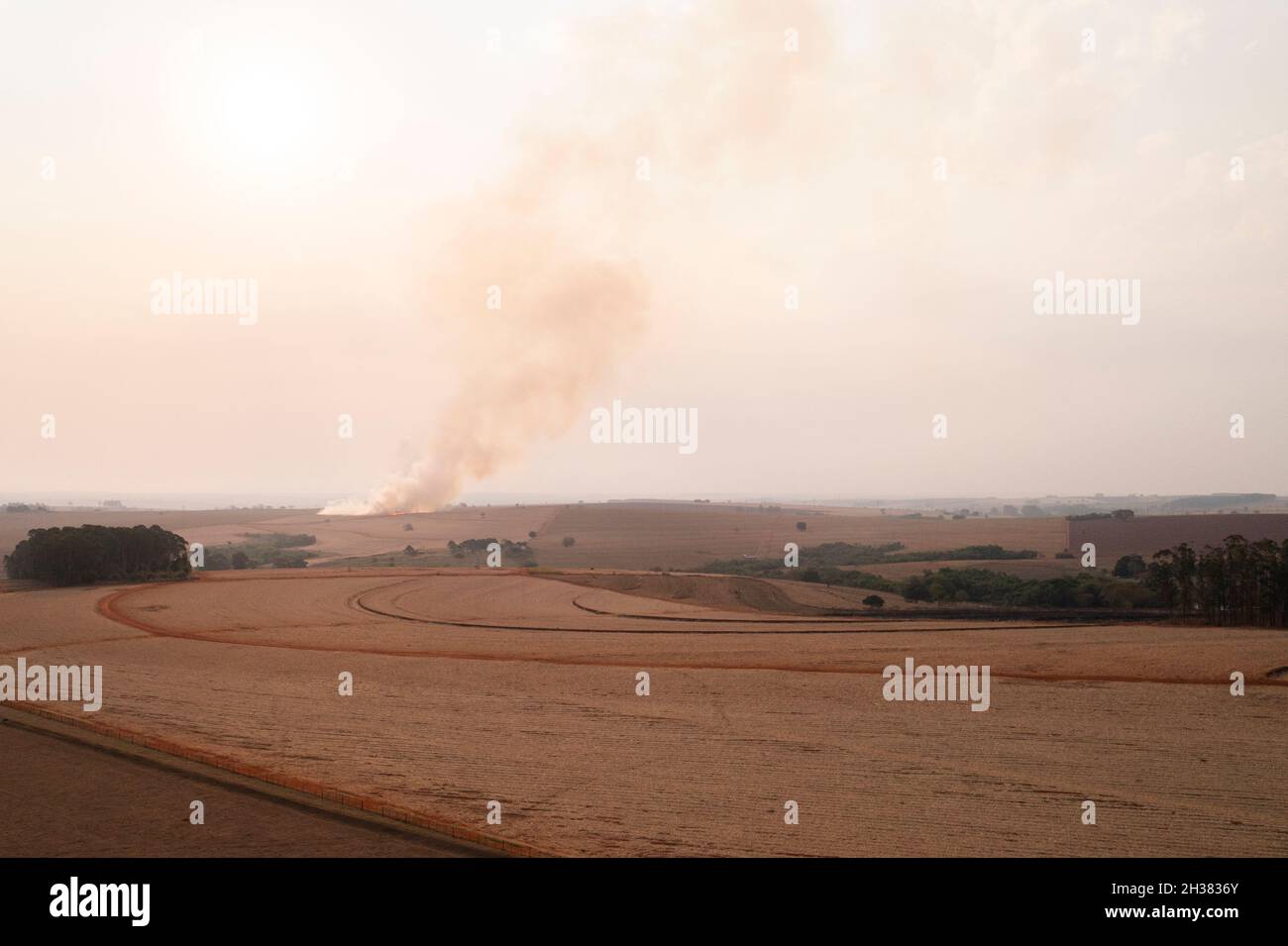 Sugarcane fire hi-res stock photography and images - Alamy
