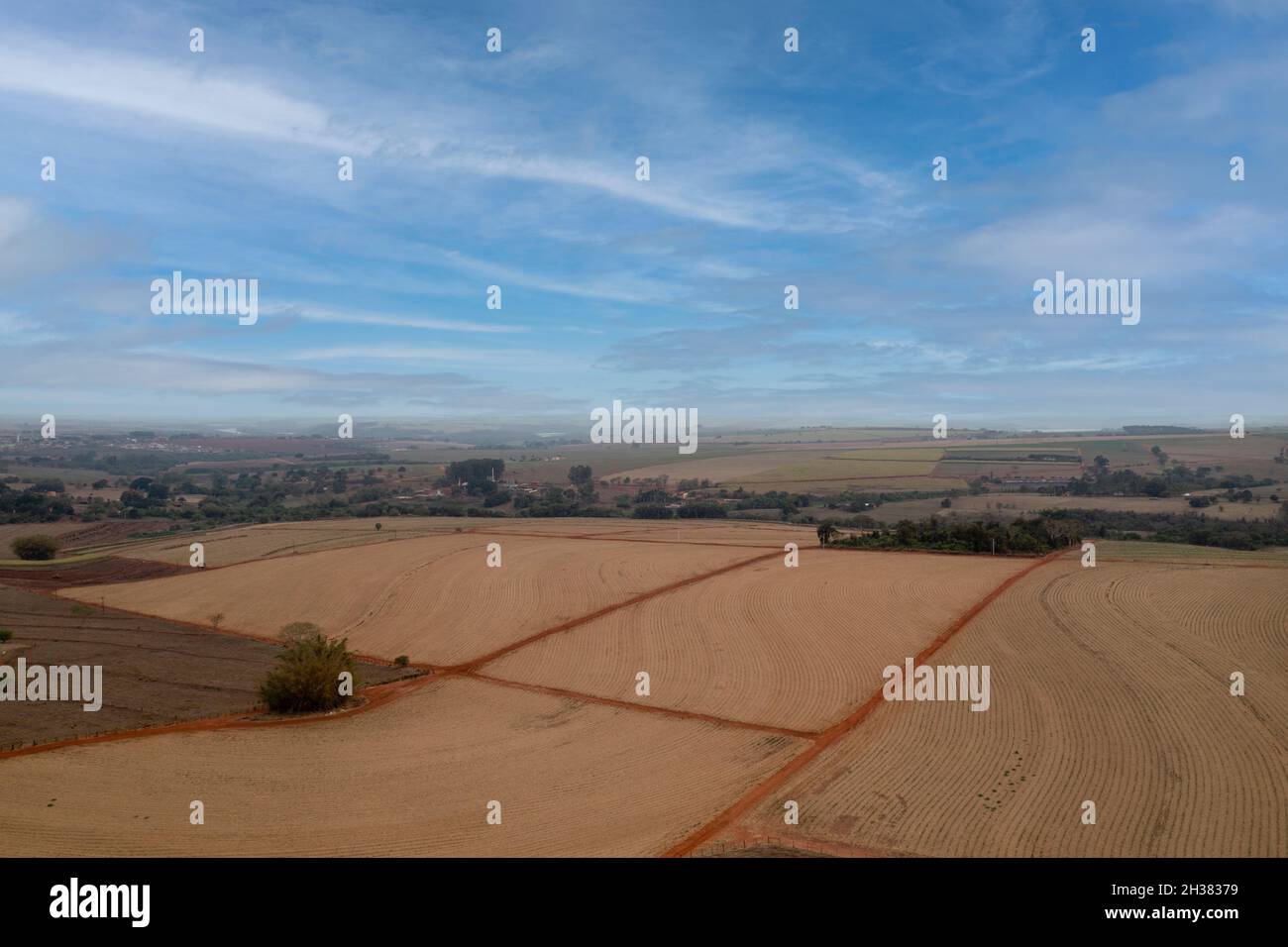 Aerial view planted fields hi-res stock photography and images - Alamy