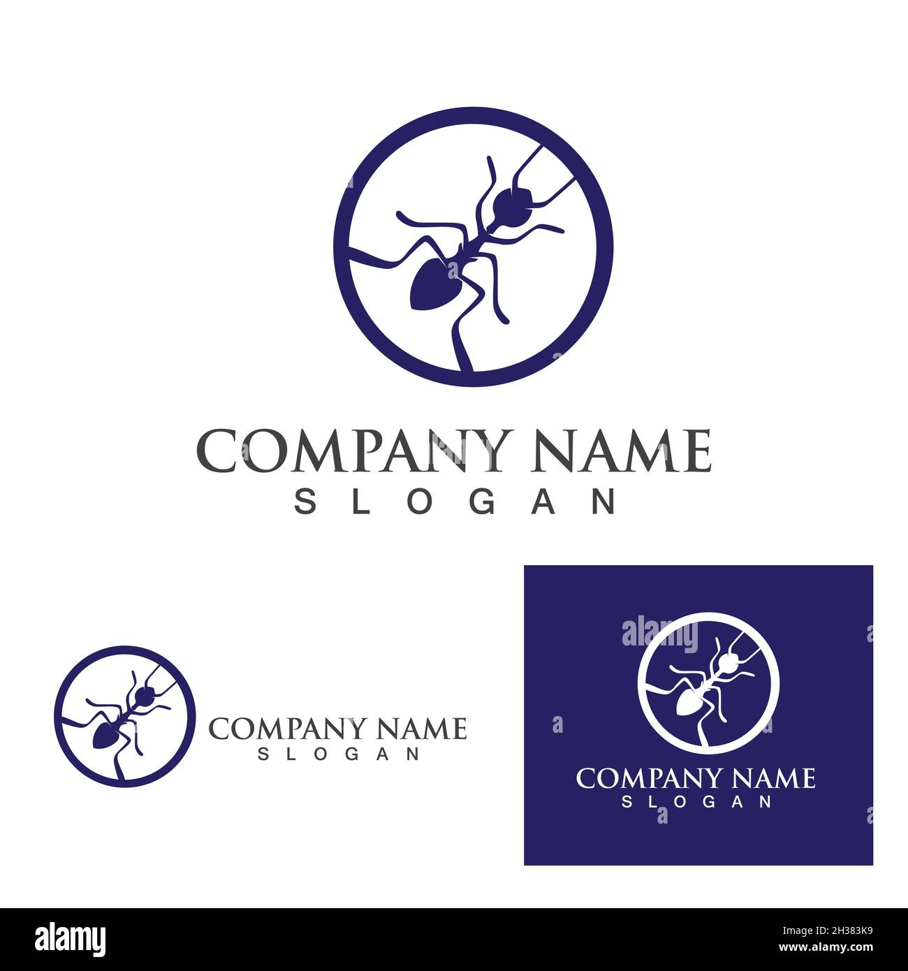 Ant Logo template vector illustration design Stock Vector Image & Art ...