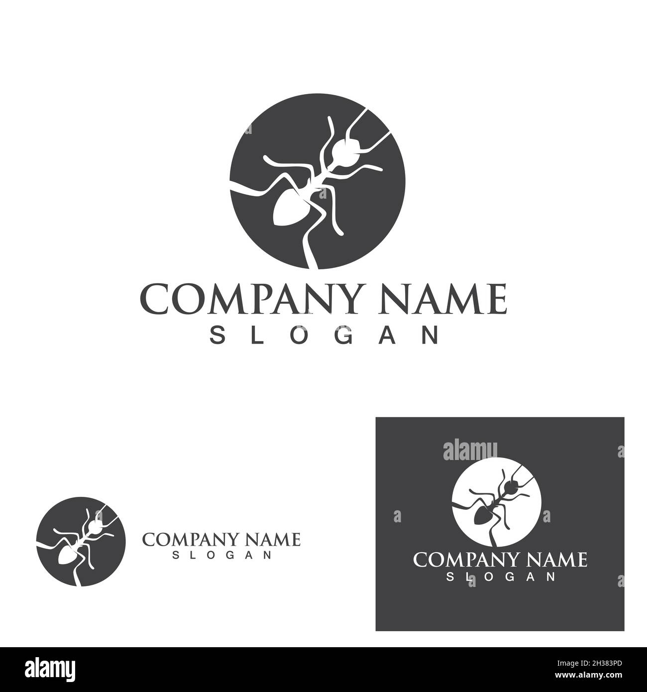 Ant circle logo Stock Vector Images - Alamy