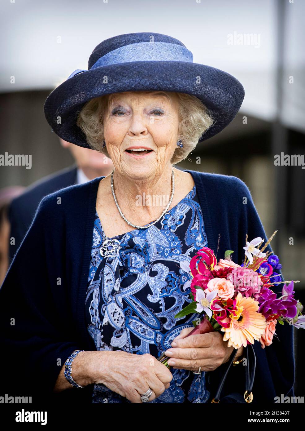 Princess beatrix opens prince claus bridge hi-res stock photography and ...